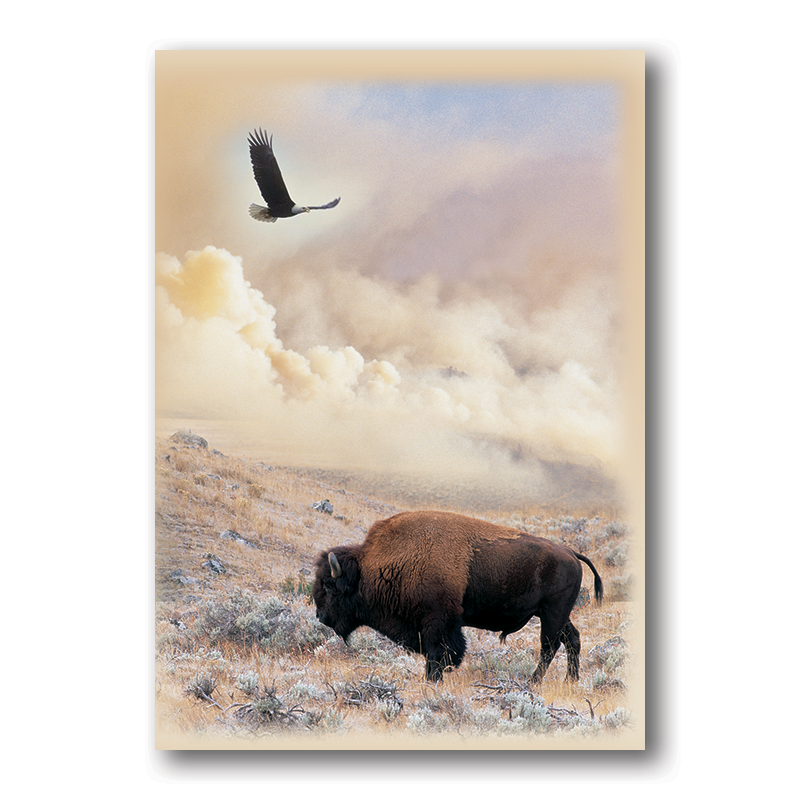 173 Buffalo/Soaring Eagle Tall Memorial Folders – Keith M. Merrick Co ...