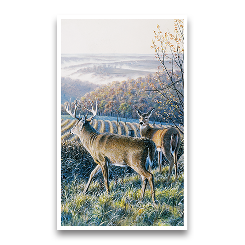 382L Jim Kasper's Fence Line Crossing - Whitetail Deer Tall Memorial ...