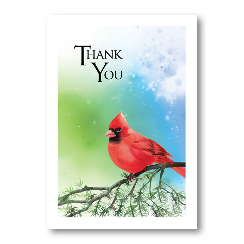 9123 Cardinal Thank You Card – Keith M. Merrick Co., Inc.