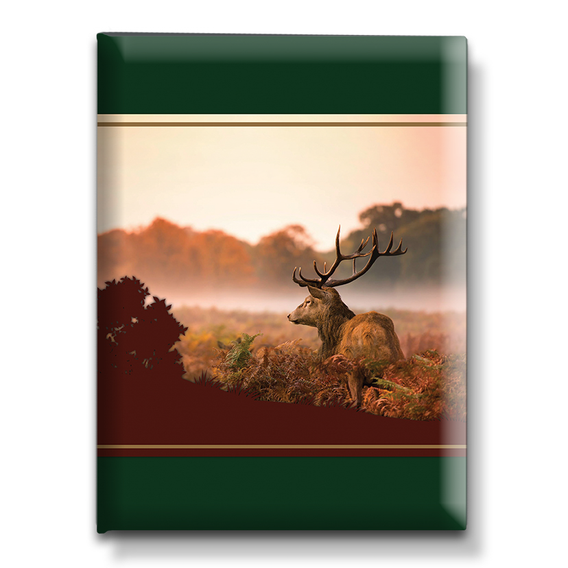 M2310: Wildlife Whispers – Keith M. Merrick Co., Inc.